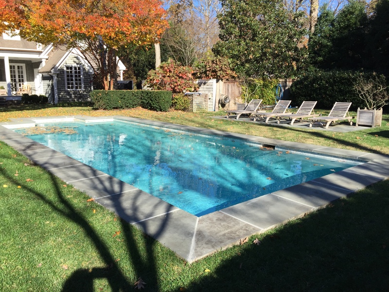 Check Out The Carter Aquatics Website Cape Gazette check-out-the-carter-aquatics-website-cape-gazette